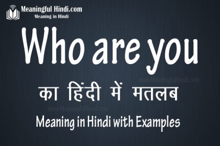 Who are you Meaning in Hindi हू आर यू मतलब हिंदी में Matlab & Arth