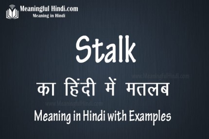 Stalk Meaning in Hindi स्टालक मीनिंग इन हिंदी Stalk Ka Matlab & Arth